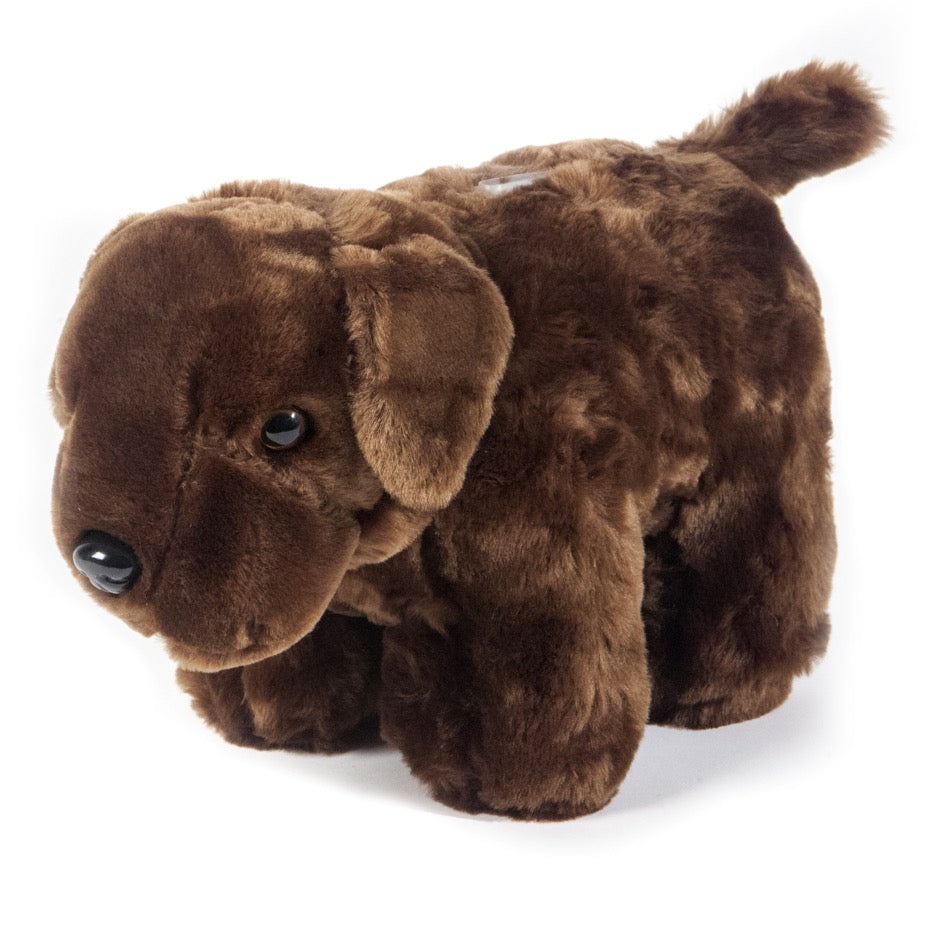 Chocolate Lab Dog Coin Bank – Carstens, Inc